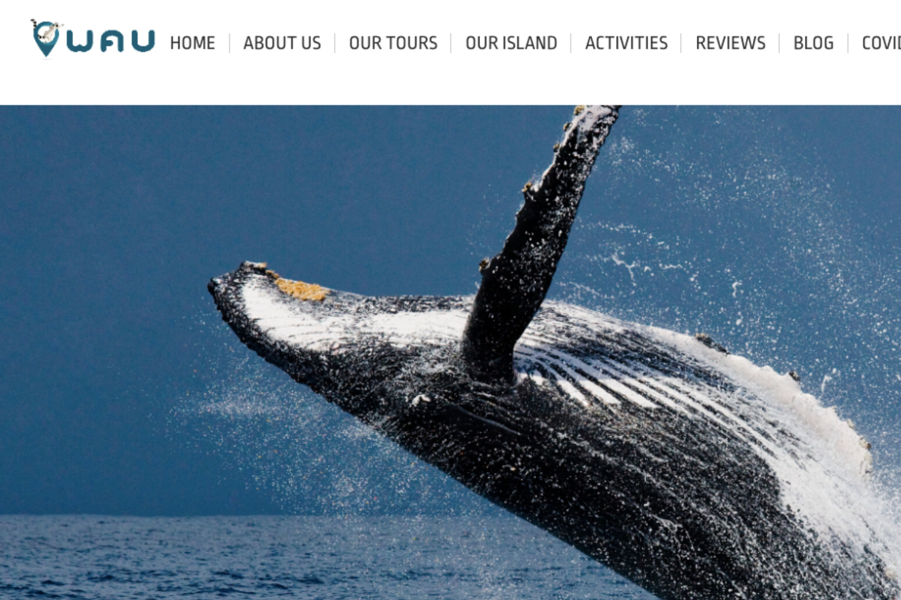 11 Reliable Travel Agencies & Tour Operators in Madagascar